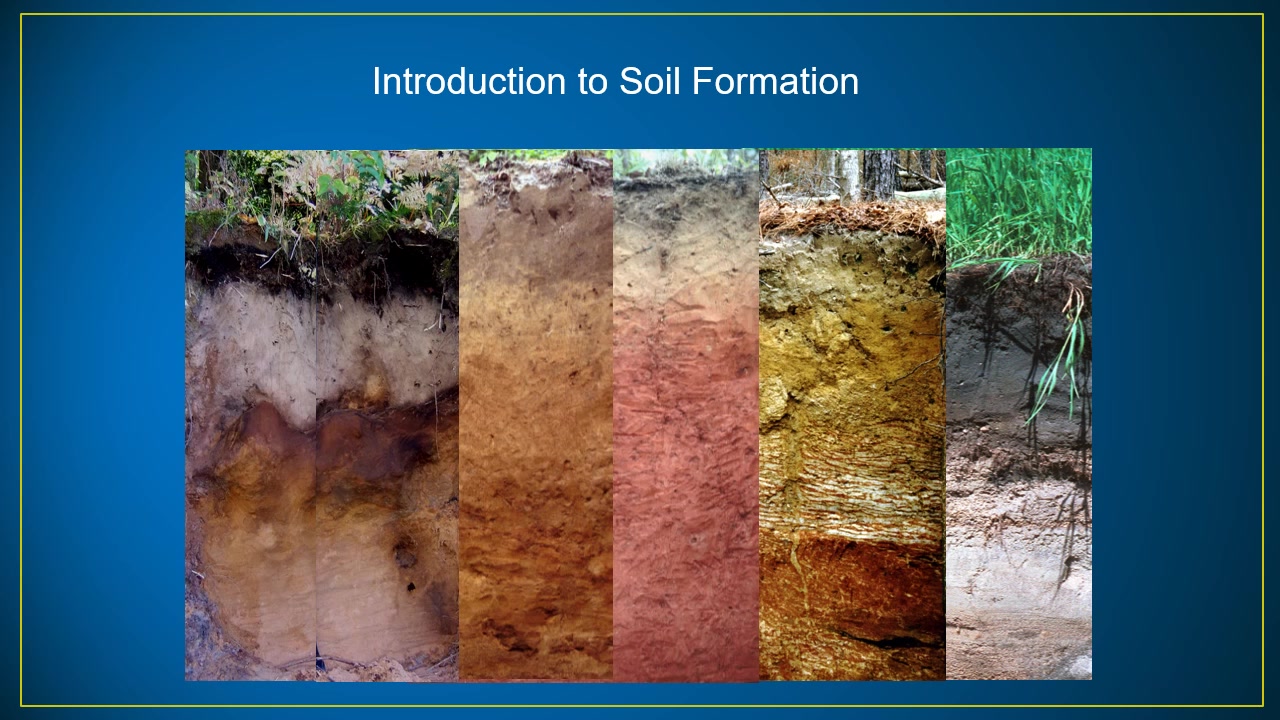 Lecture 3 Soil Forming Processes and Factors
