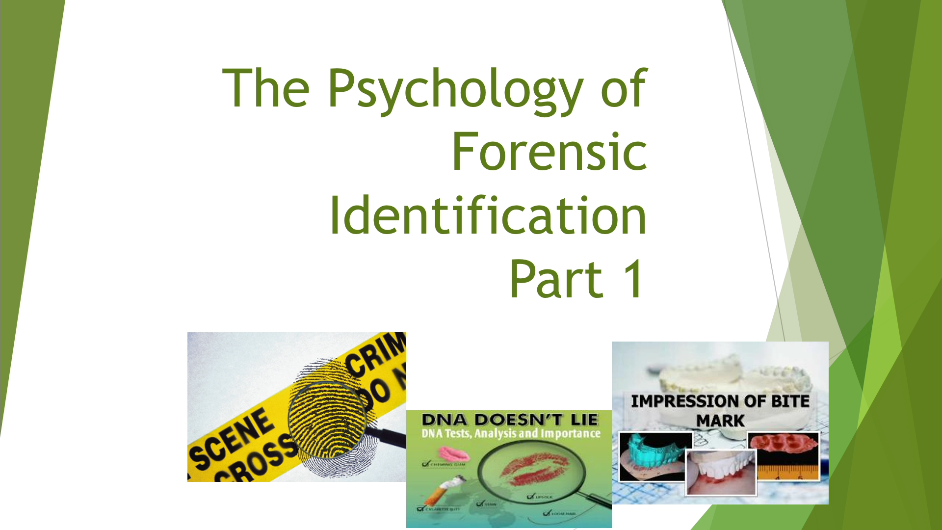 Chapter 4 - Forensic Identification - Part 1