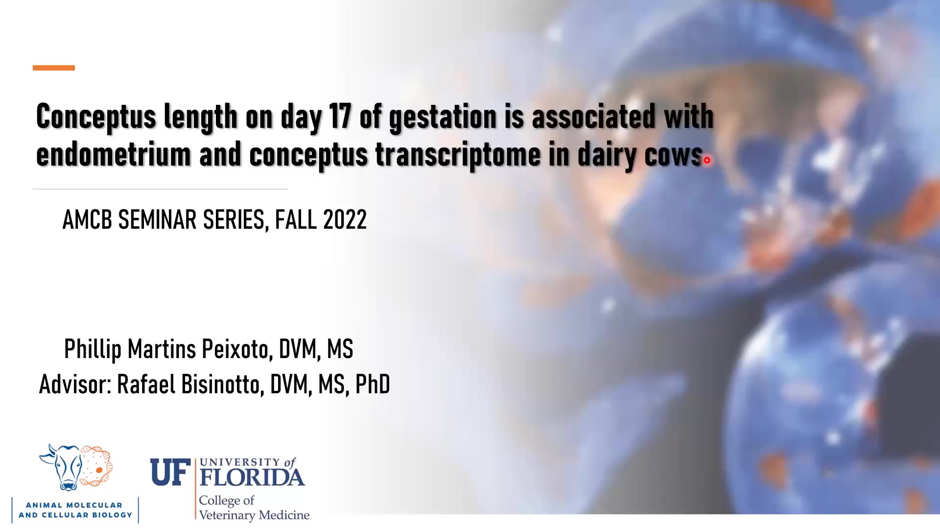 Piexoto AMCB 23 Sept 2022