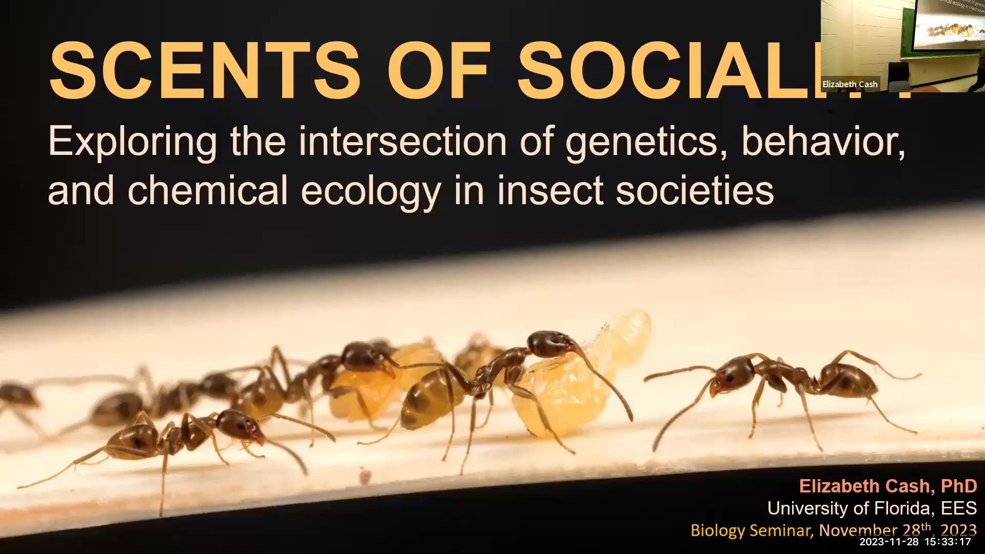 Scents of Sociality: Exploring the Intersection of Genetics, Behavior ...