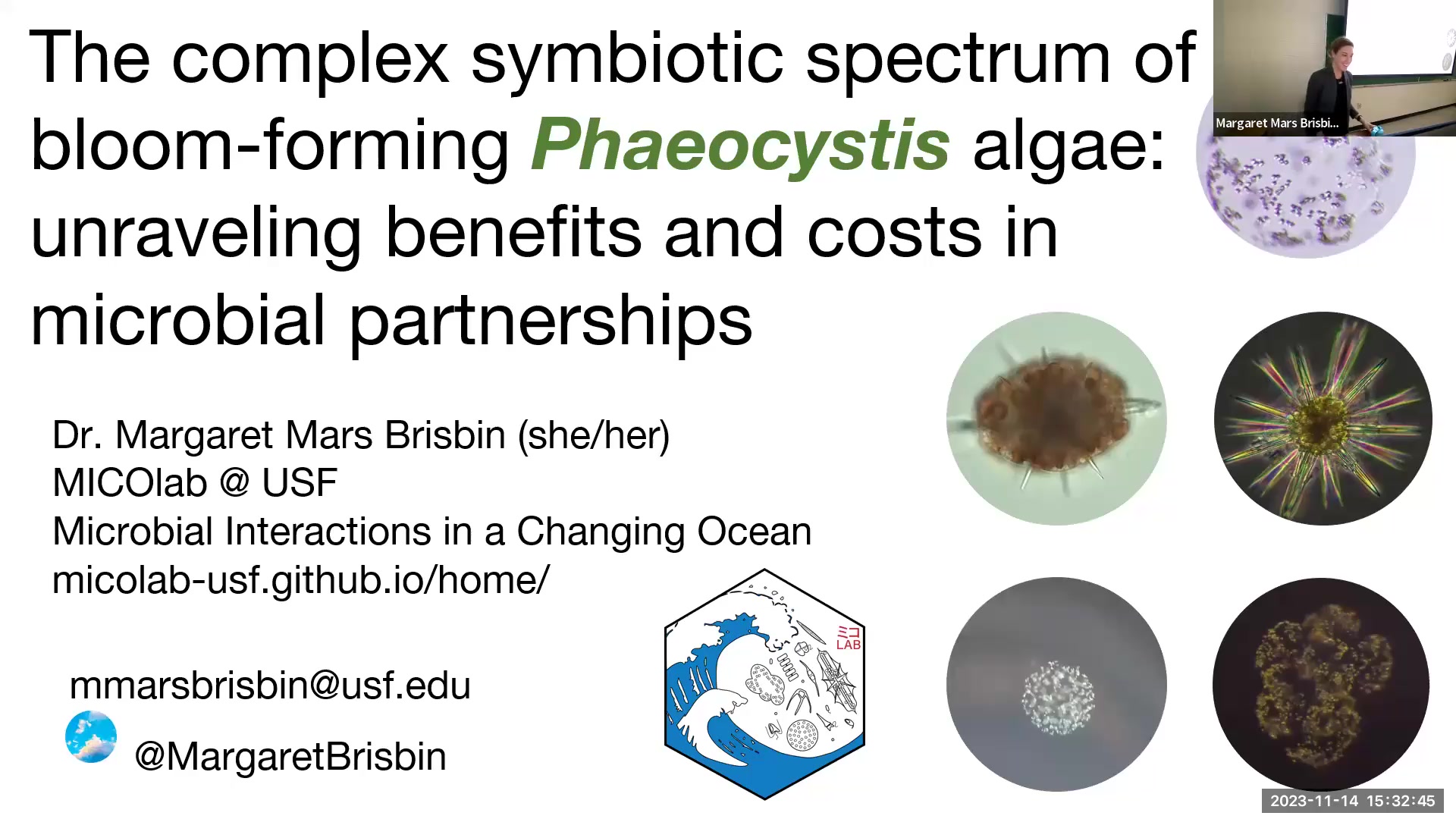 The complex symbiotic spectrum of bloom-forming Phaeocystis algae ...