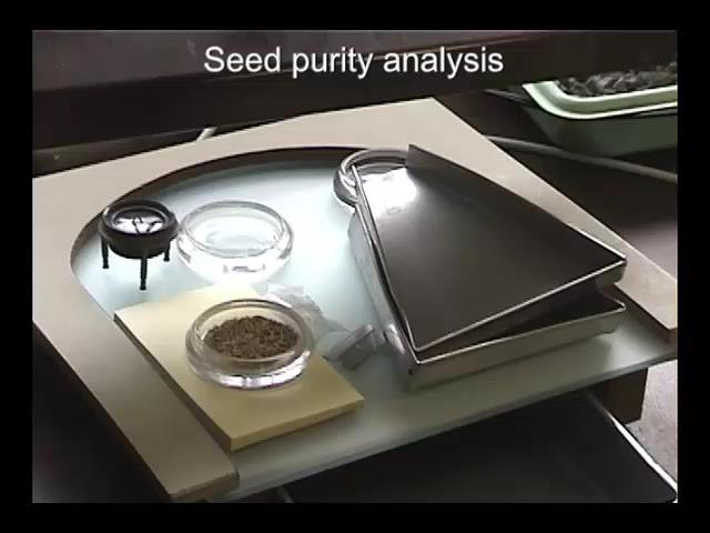 Seed Purity