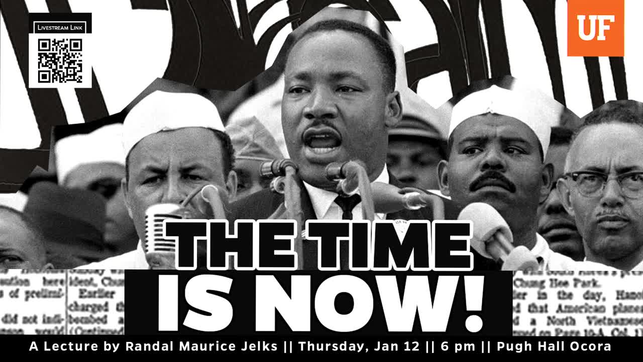 Martin Luther King, Jr and Democratic Stewardship