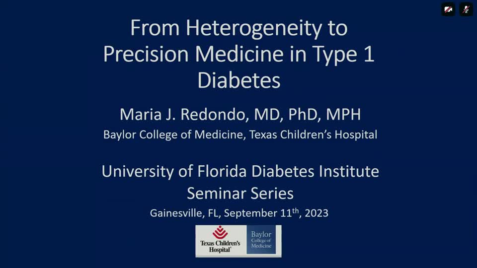 UFDI Seminar with Maria Redondo_9/11/2023