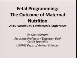 Fetal Programming