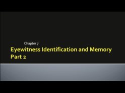 Chapter 7 - Eyewitness Identification and Memory - Part 2