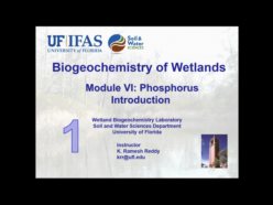 SWS 6448 Module 6_Introduction