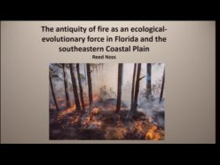 Fire Ecology Opening Plenary 1 - Reed Noss, "The Antiquity of Fire as ...