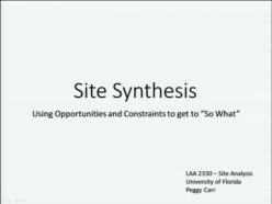 Site Synthesis: Opportunities and Constraints