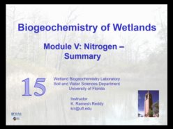 SWS 6448 N module_15_Summary