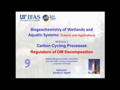 SWS 6448 Module 3_Regulators of OM decomposition_9