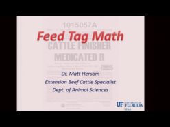 Feed Tag Math For Cattle