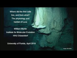 The physiology of the last universal common ancestor — where did the ...