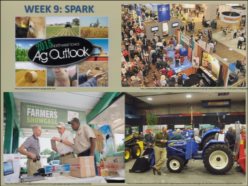 Week 9 Spark Activity